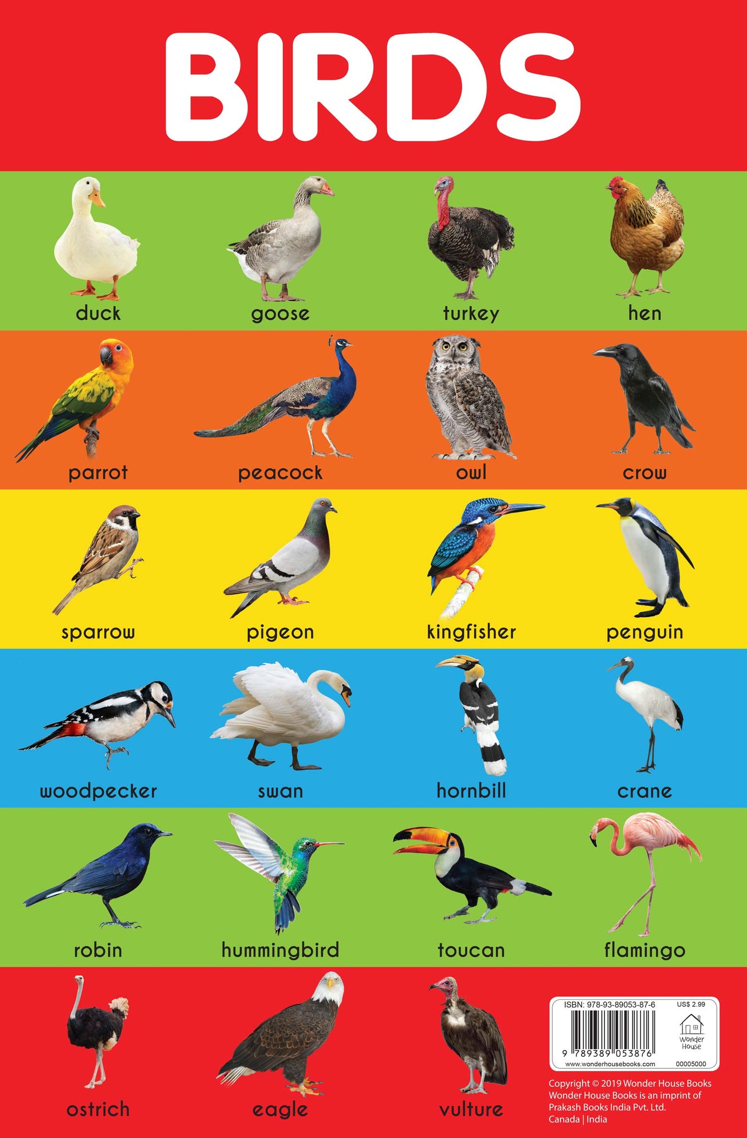 Birds Chart - Early Learning Educational Chart For Kids: Perfect For ...